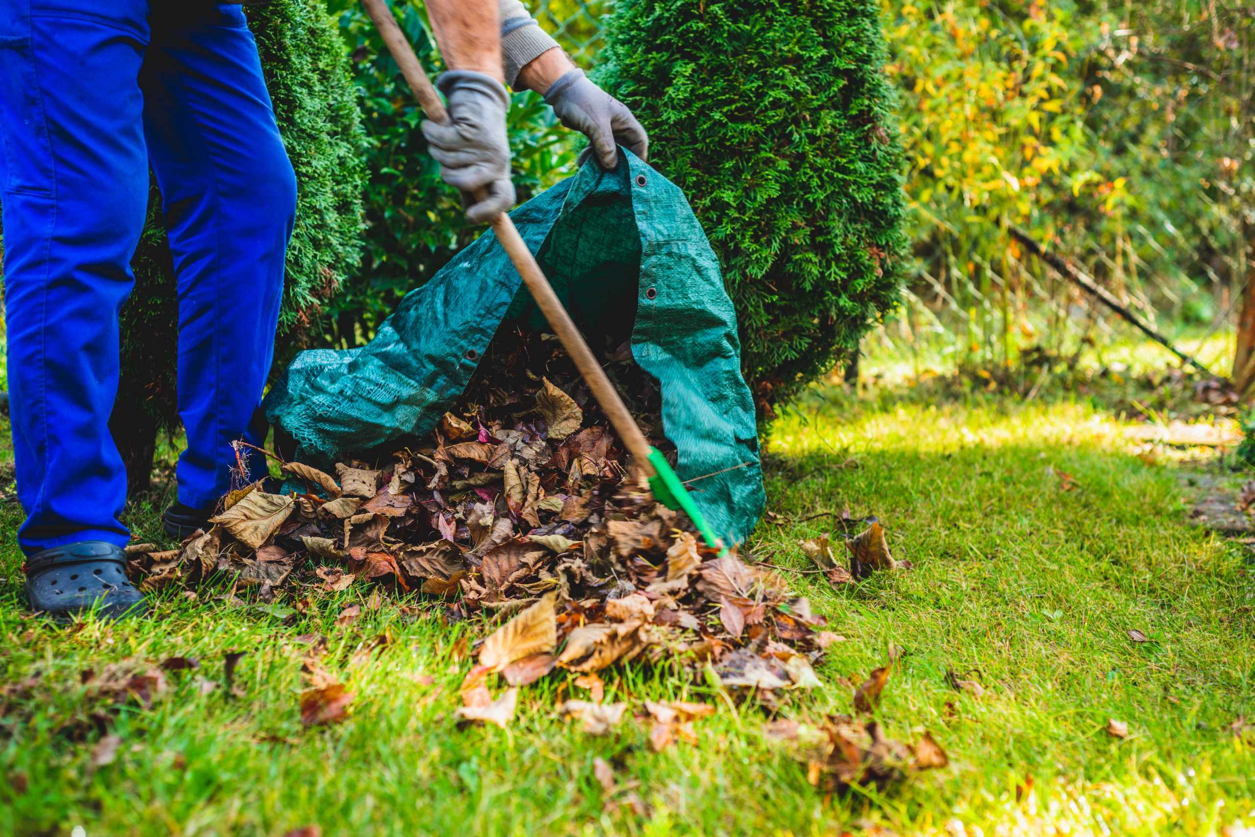 Backyard A Mess? 5 Tips for Cleaning It Up